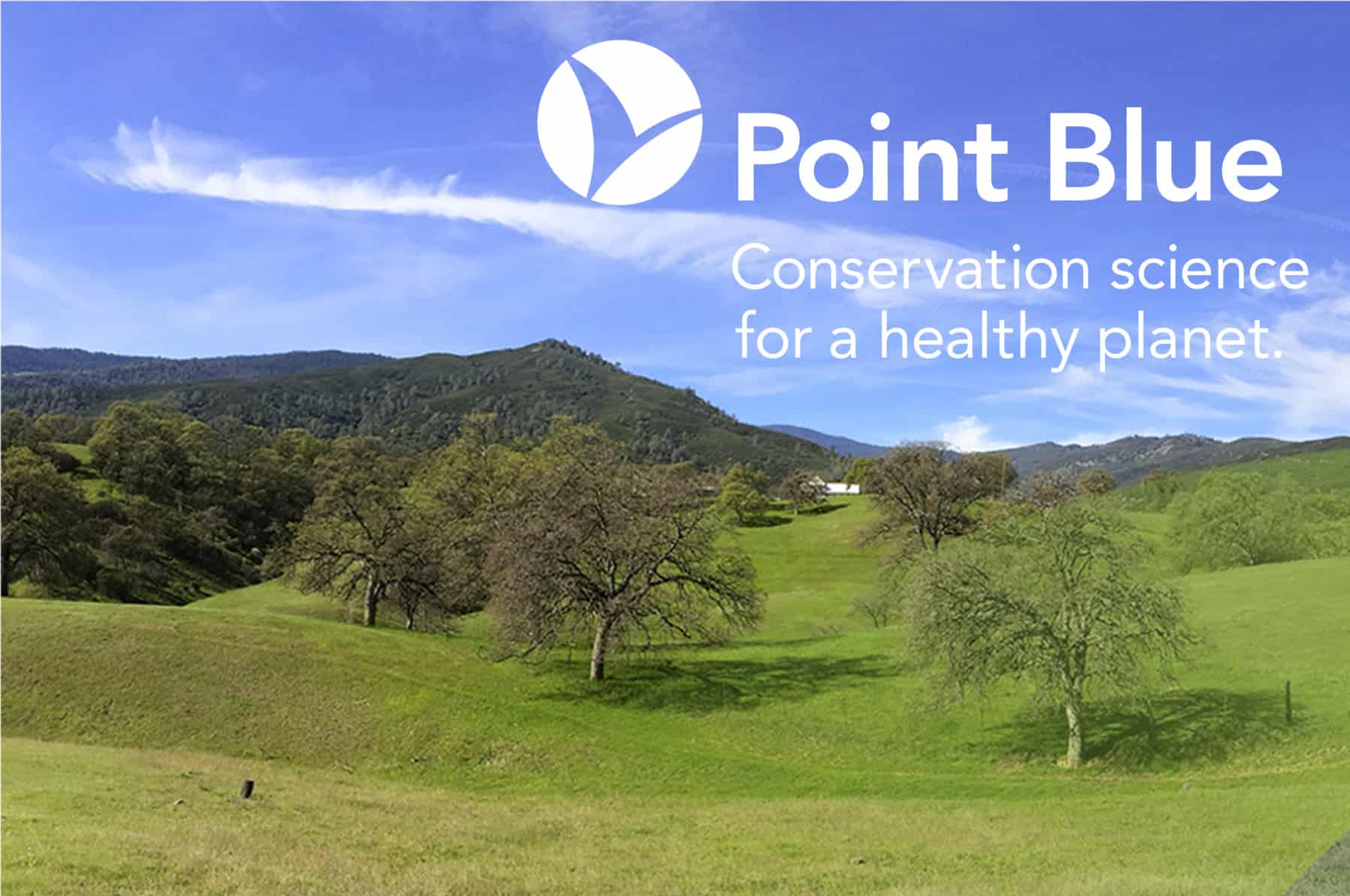 Our Work – Mennen Environmental Foundation