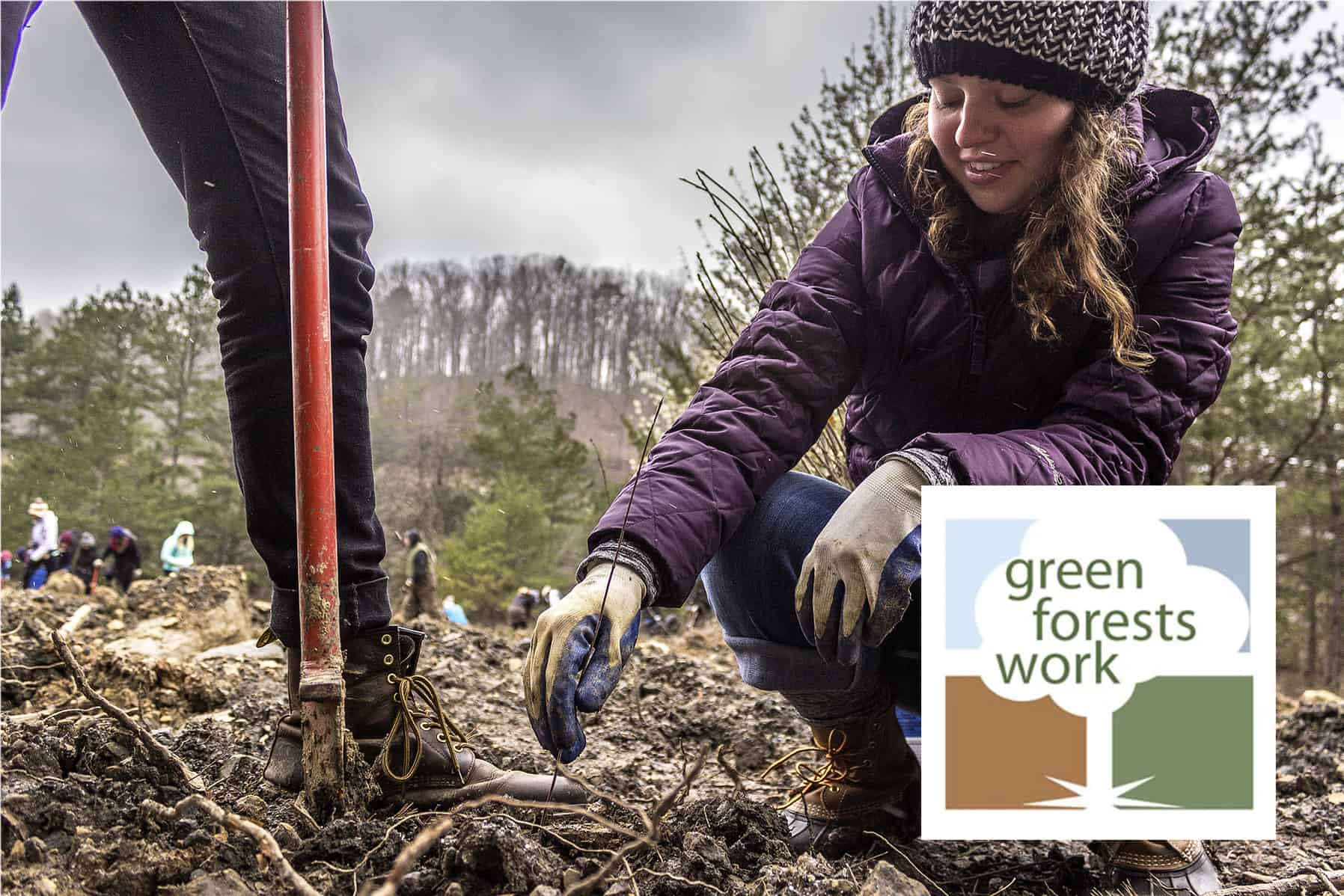 Green Forests Work – Mennen Environmental Foundation