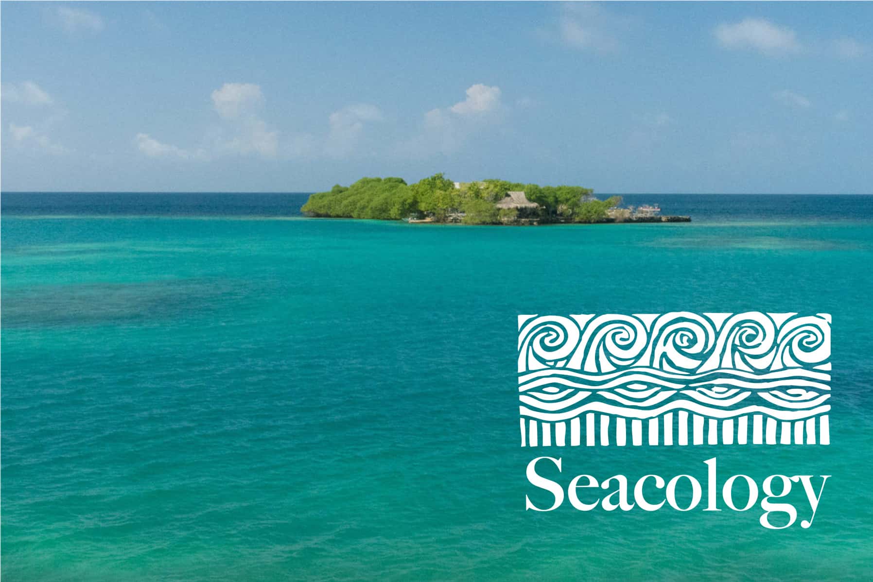 Our Work – Mennen Environmental Foundation